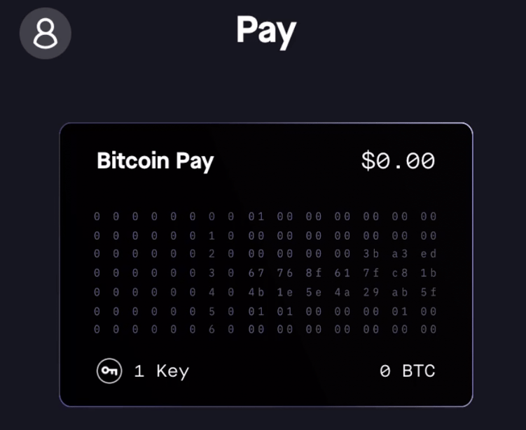 Sovereign Recovery for BTC Pay