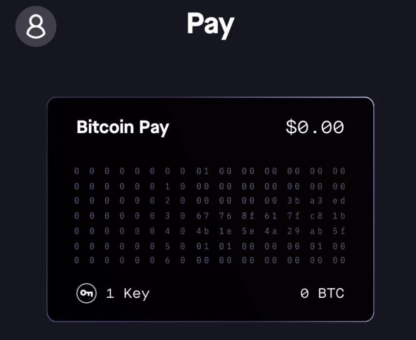 Sovereign Recovery for BTC Pay